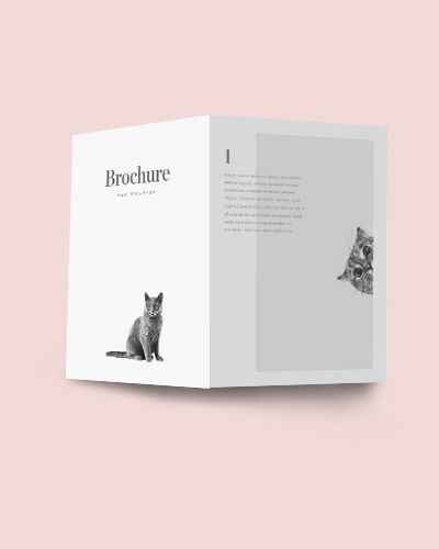 Megakit - HTML5 Theme